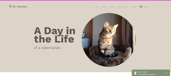 Best 15 Blogs for Veterinarians in 2021