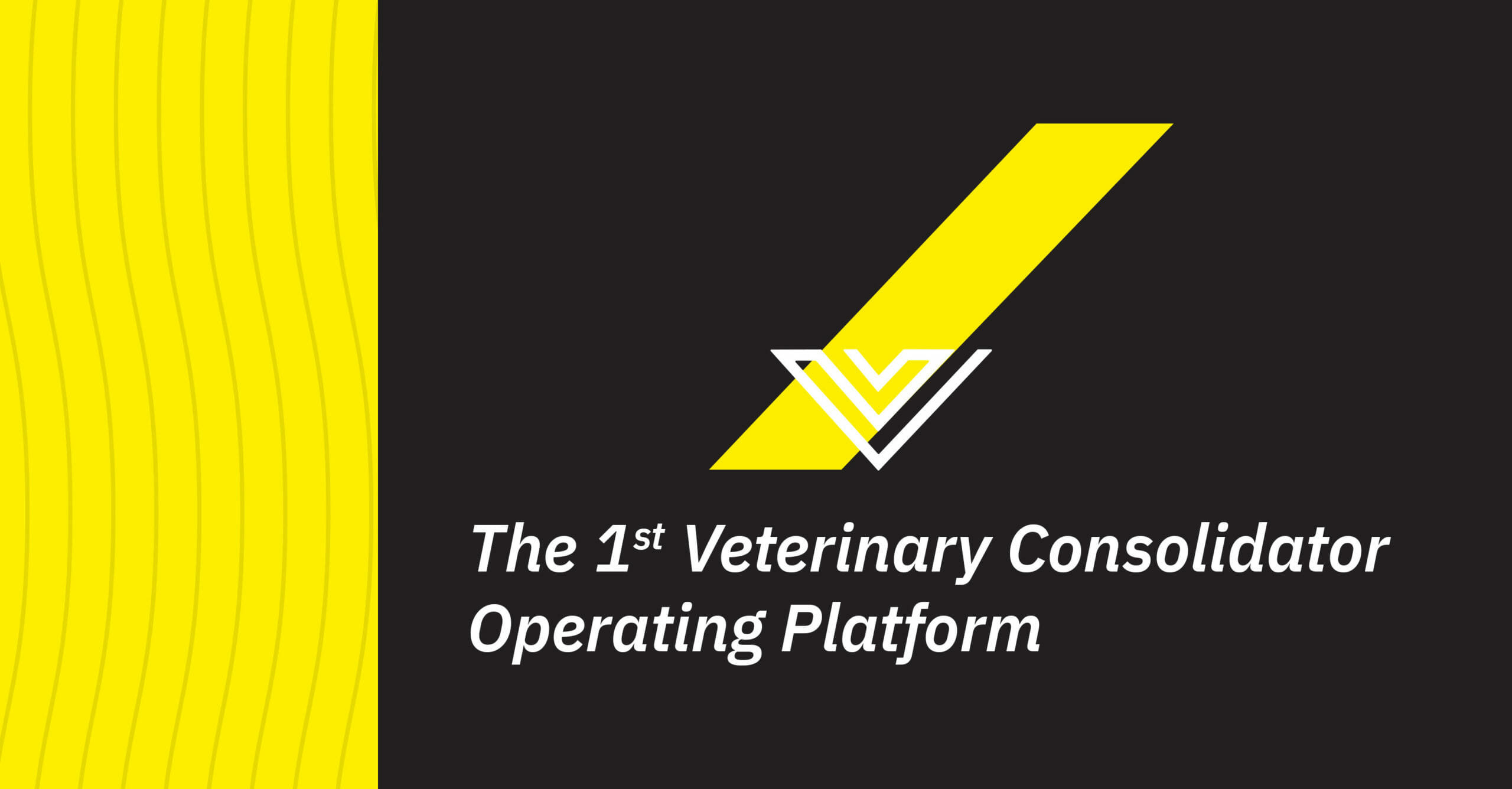 VIS Team – Veterinary Integration Solutions