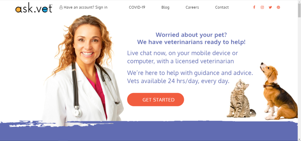 Brilliant 10 Veterinary Telemedicine Solutions