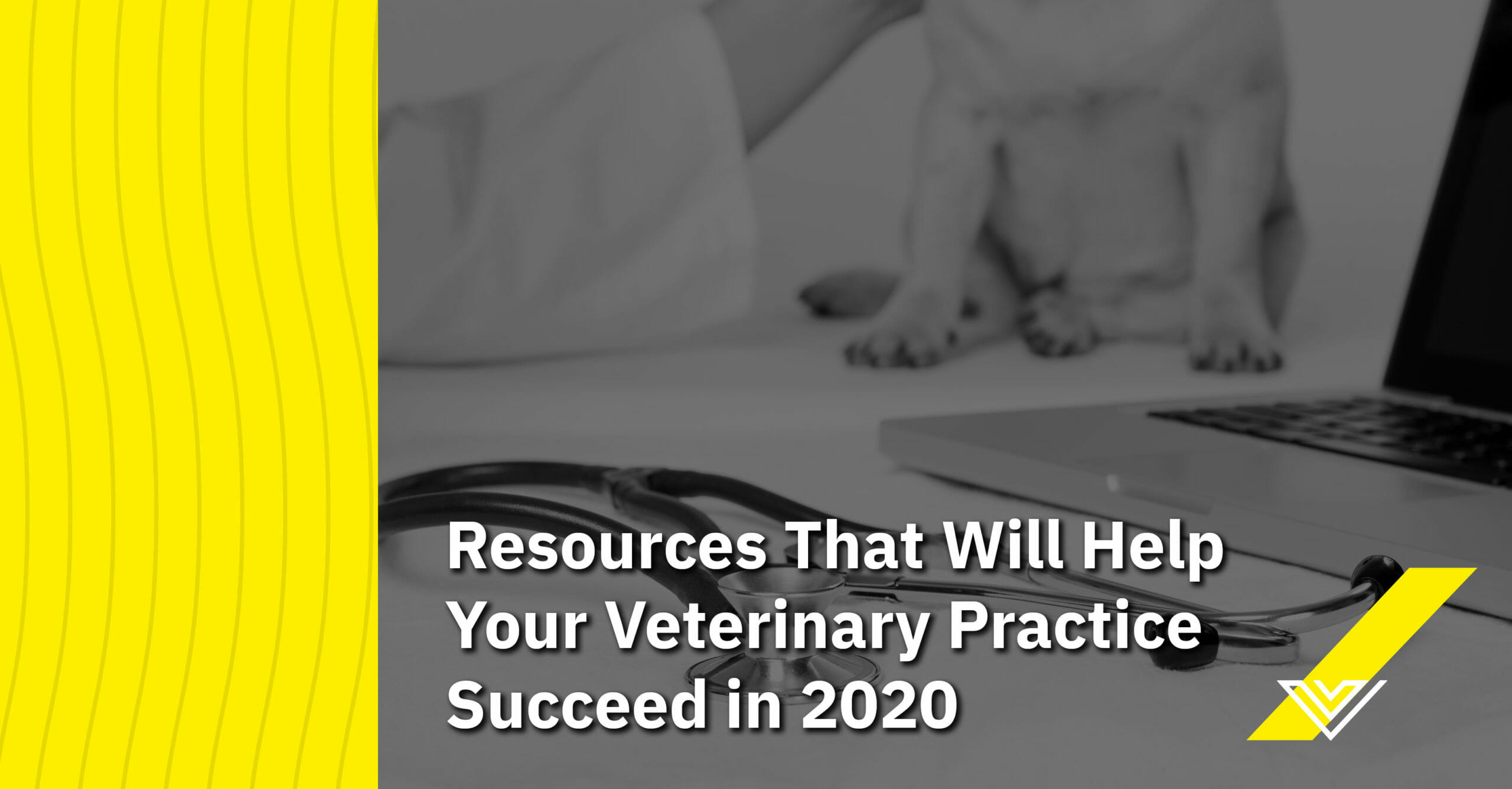 Best 15 Blogs for Veterinarians in 2021