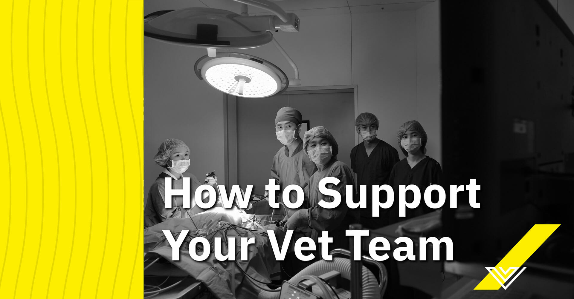 How to Support Veterinary Team When You Are to Sell the Practice