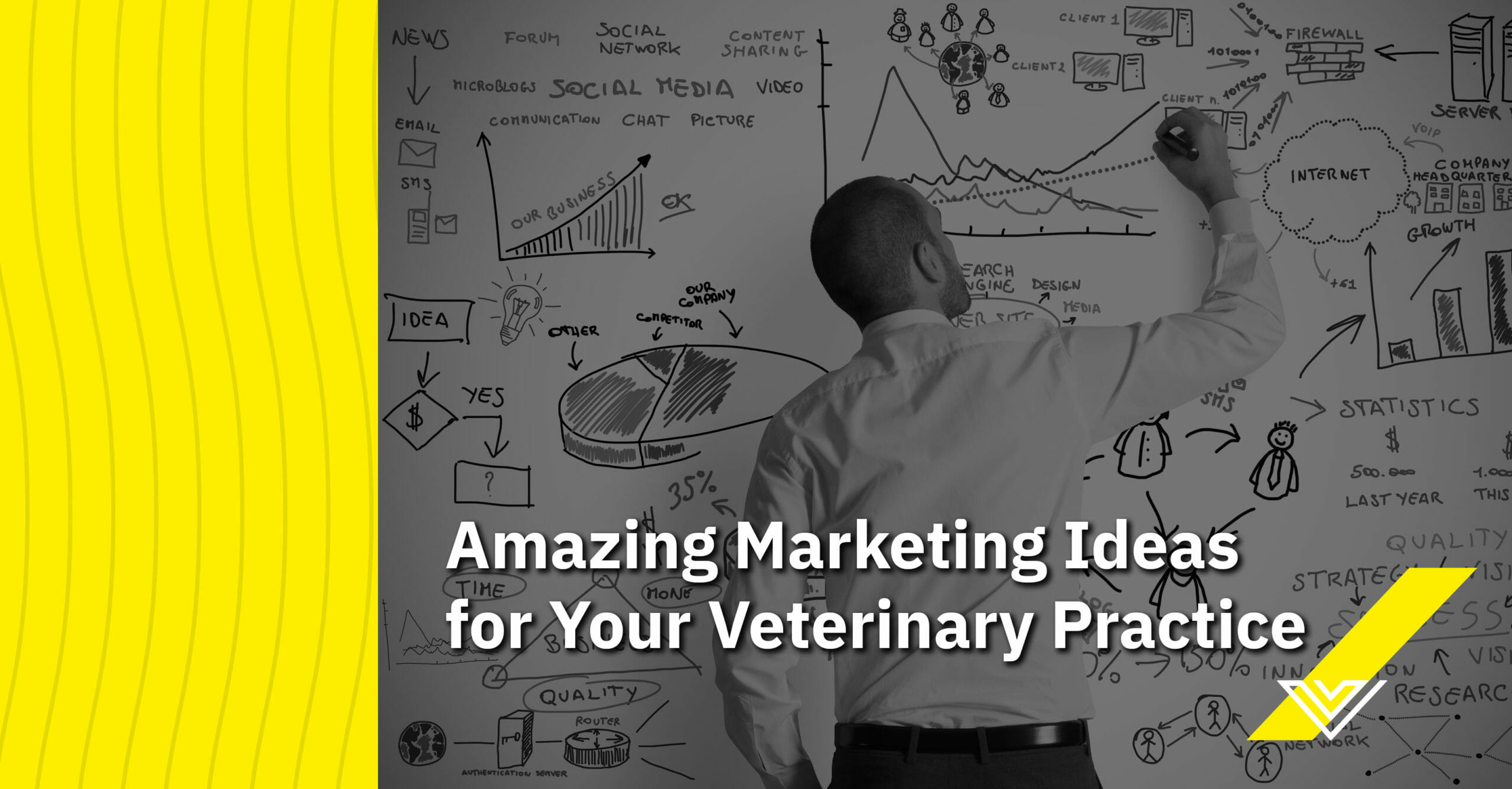 37 Amazing Marketing Ideas for Your Veterinary Practice