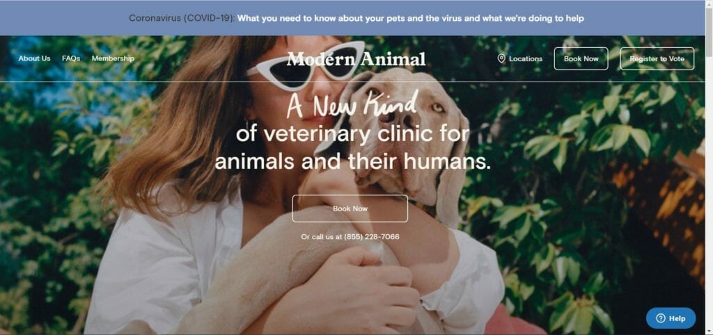 Best 16 Online Pet and Vet Startups You Should Know About