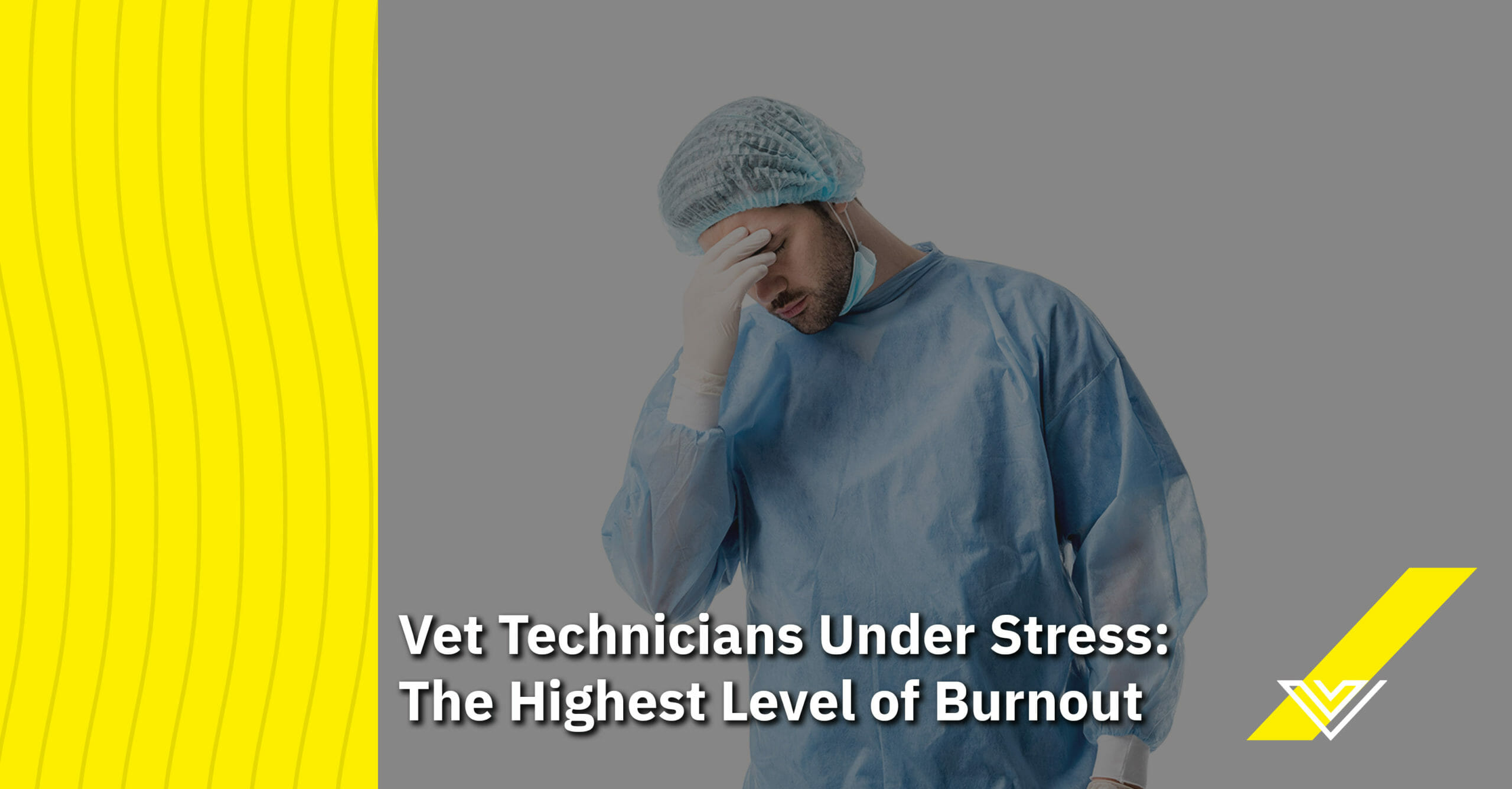 Vet Technicians Under Stress: The Highest Level of Burnout