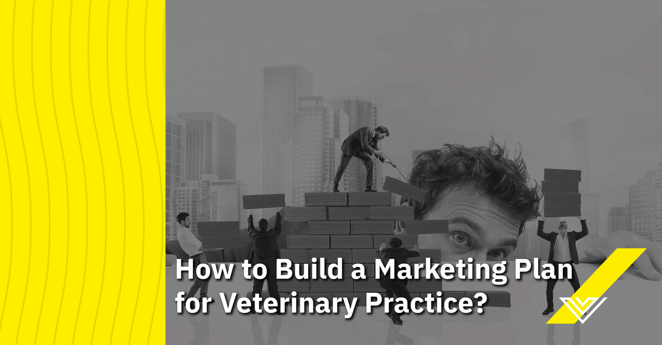 How To Build a Veterinary Marketing Plan?