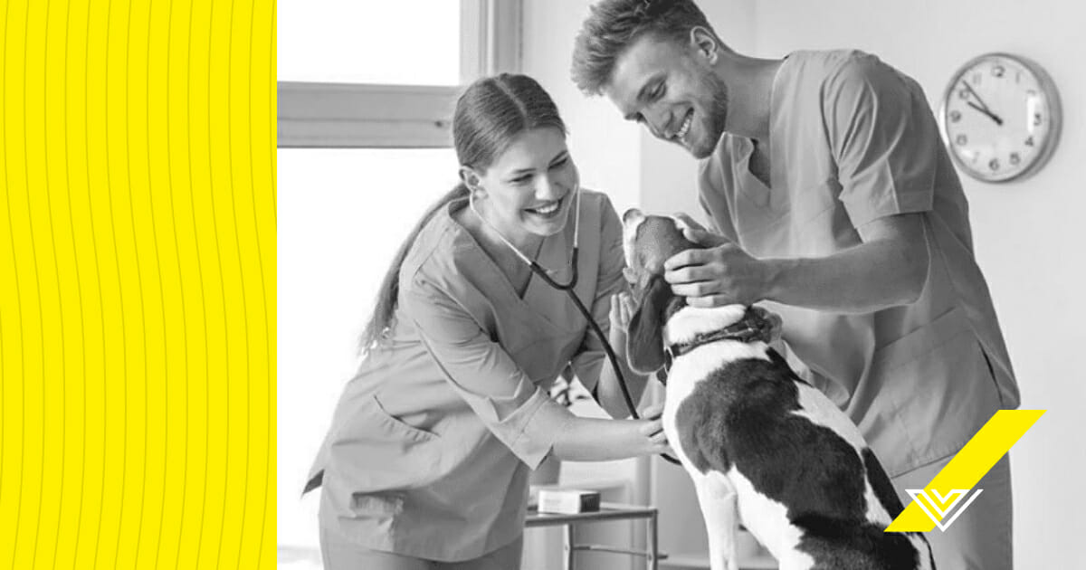 Learn About Veterinary Continuing Education Opportunities